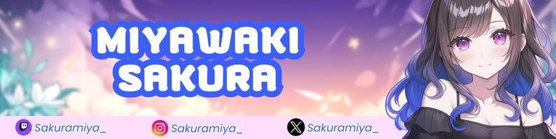 Custom Twitch Banner, Twitch Banner, Discord Banner, Youtube Banner ...