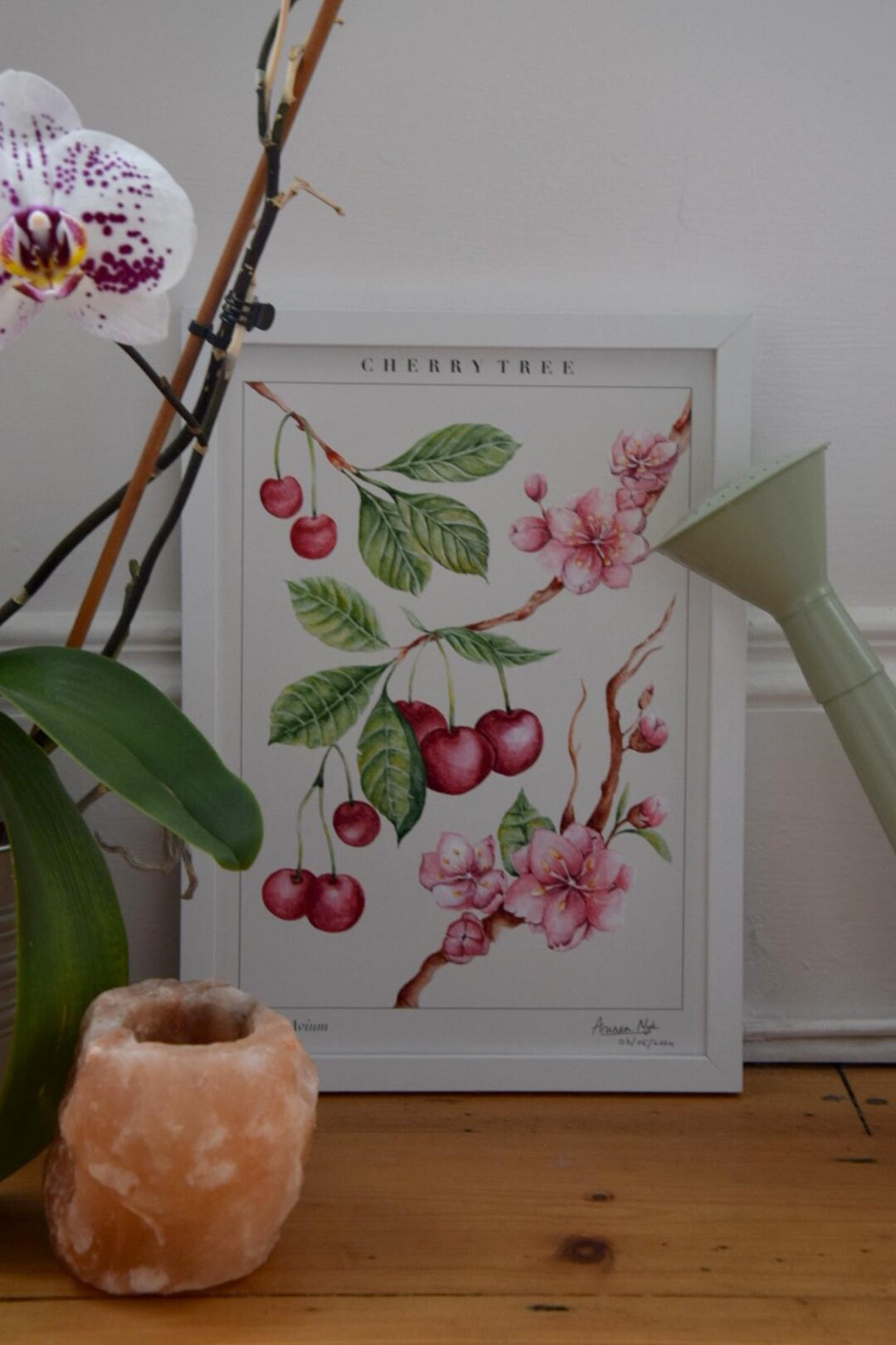 Cherry Botanical Art Print Produced From Original Hand Painted Artwork ...
