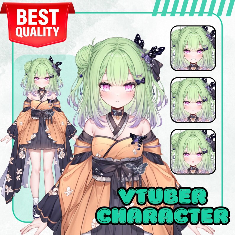 Custom Vtuber Model for Commercial Use Live 2D Vtuber Model Vtuber Assets Vtuber Design Vtuber ...
