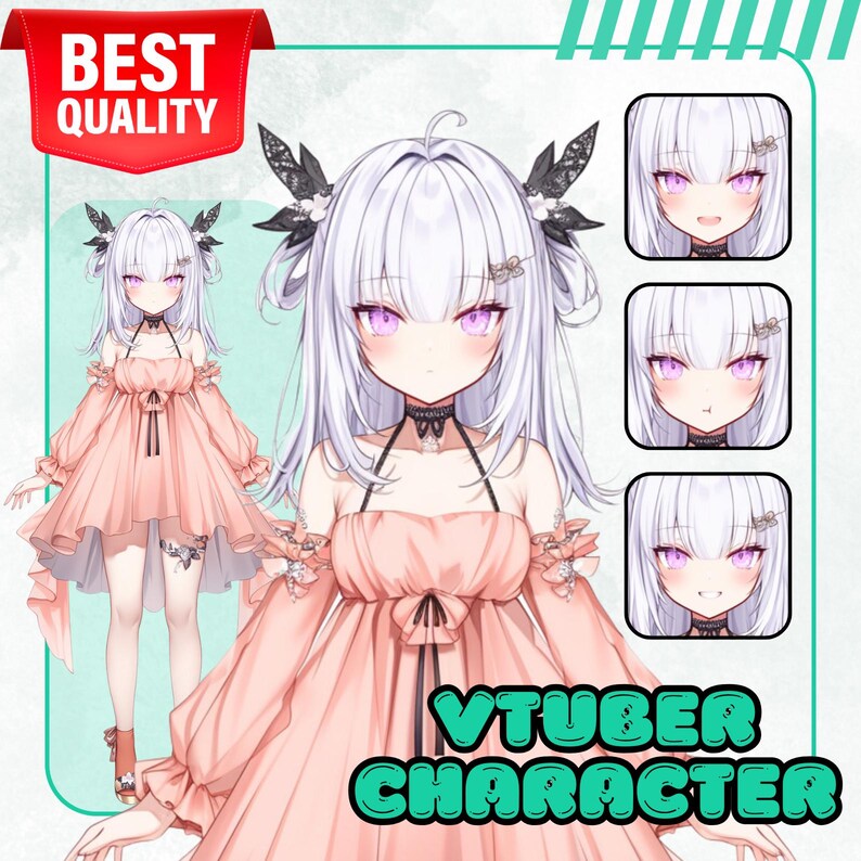 Custom Vtuber Model for Commercial Use Live 2D Vtuber Model Vtuber Assets Vtuber Design Vtuber ...