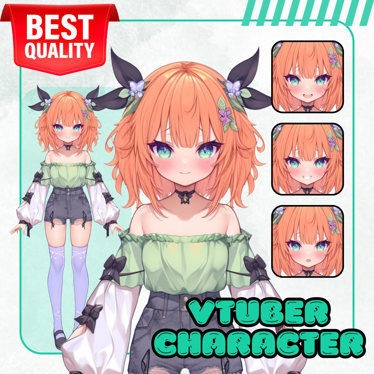 Custom Vtuber Model for Commercial Use Live 2D Vtuber Model Vtuber ...