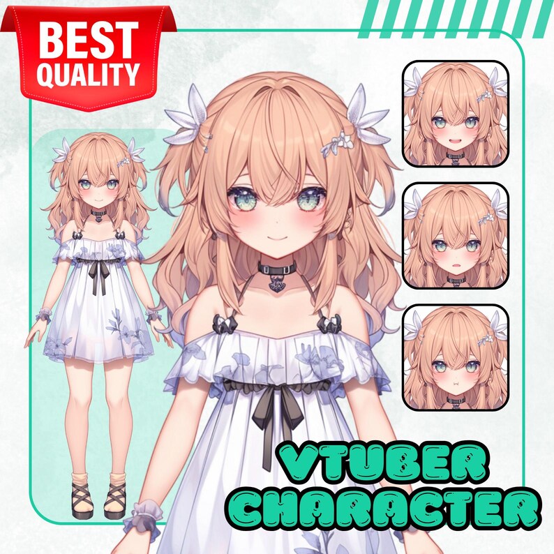 Custom Vtuber Model for Commercial Use Live 2D Vtuber Model Vtuber Assets Vtuber Design Vtuber ...