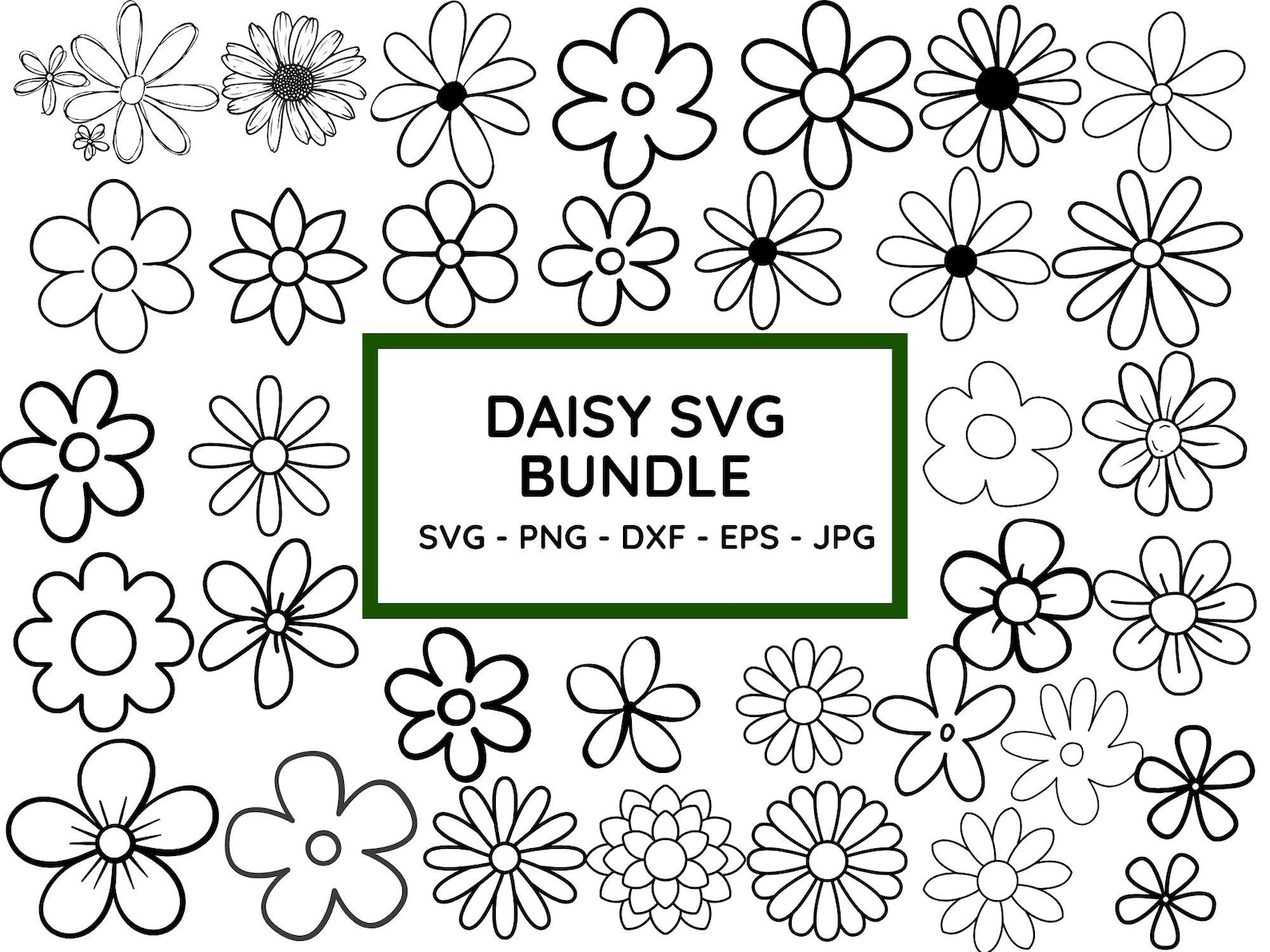 Daisy SVG Bundle: Flower Cut Files for Cricut (digital Download) - Etsy
