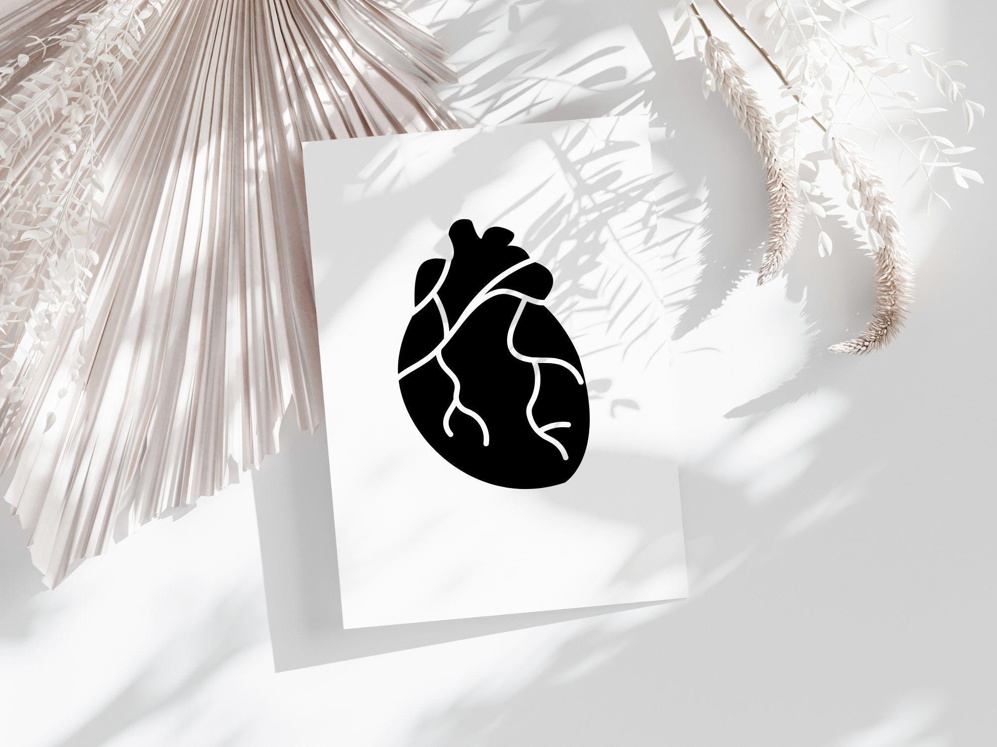 Anatomical Heart SVG Bundle: Floral, Medical Anatomy (cut File) - Etsy