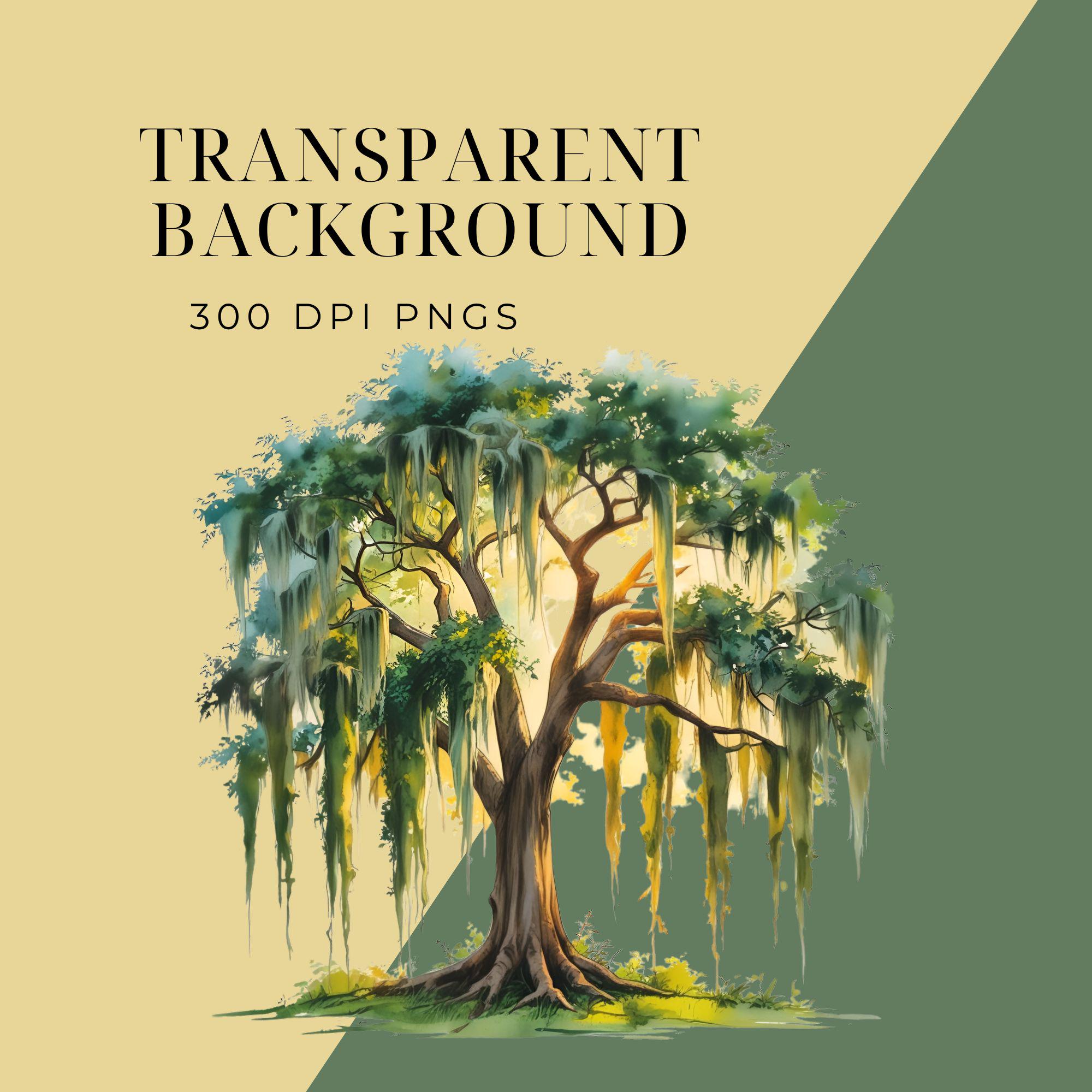 Watercolor Spanish Moss Clipart PNG Bundle – 18 Transparent High ...