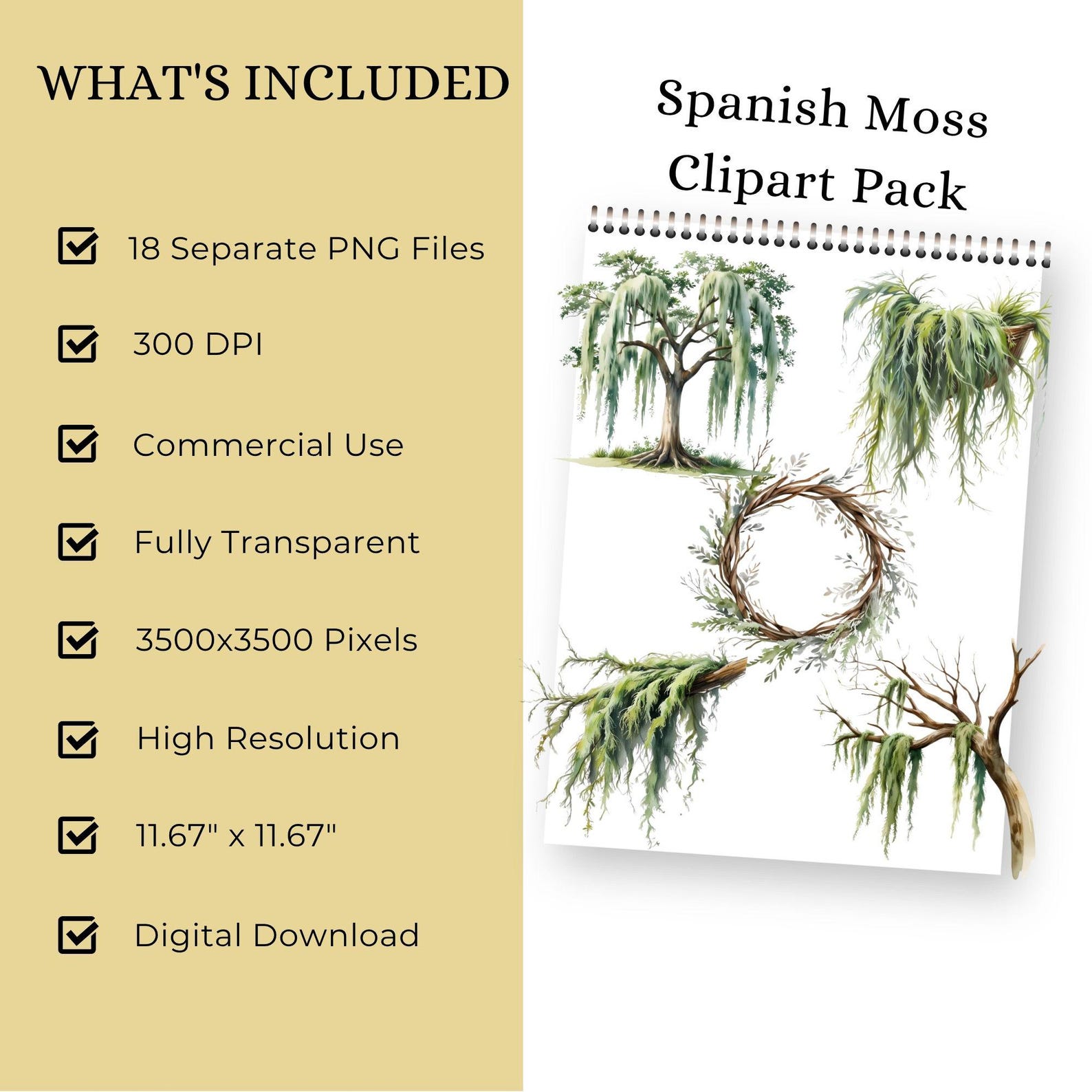 Watercolor Spanish Moss Clipart PNG Bundle – 18 Transparent High ...