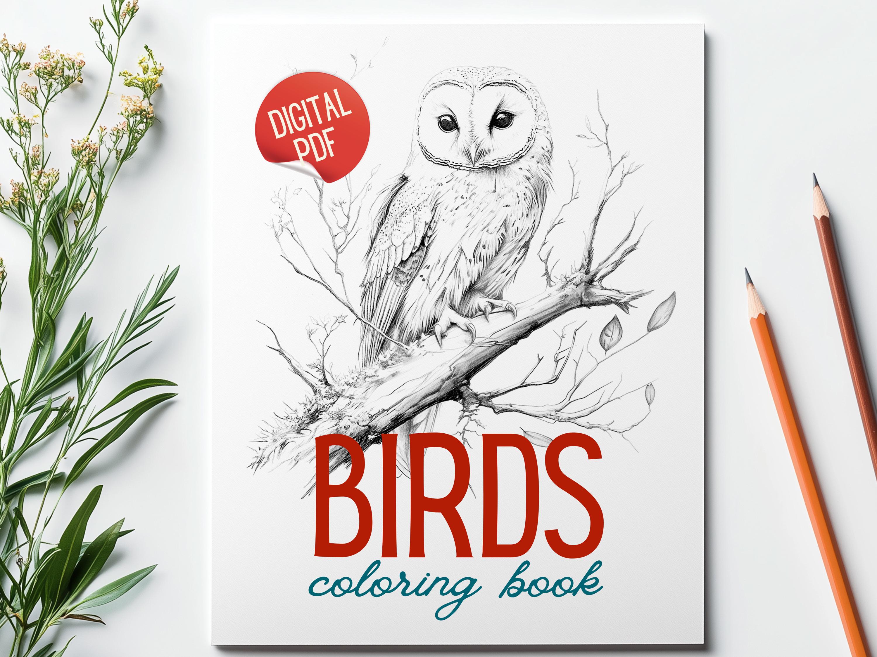 Bird Adult Coloring Book | Digital Download PDF | Hand-drawn Style ...