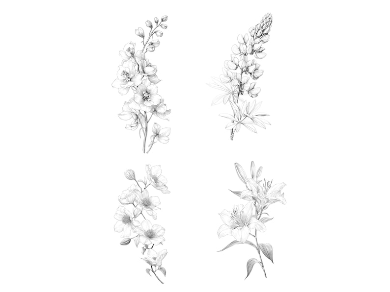 Floral Coloring Book | Summer Blooms Botanical Sketches (digital ...