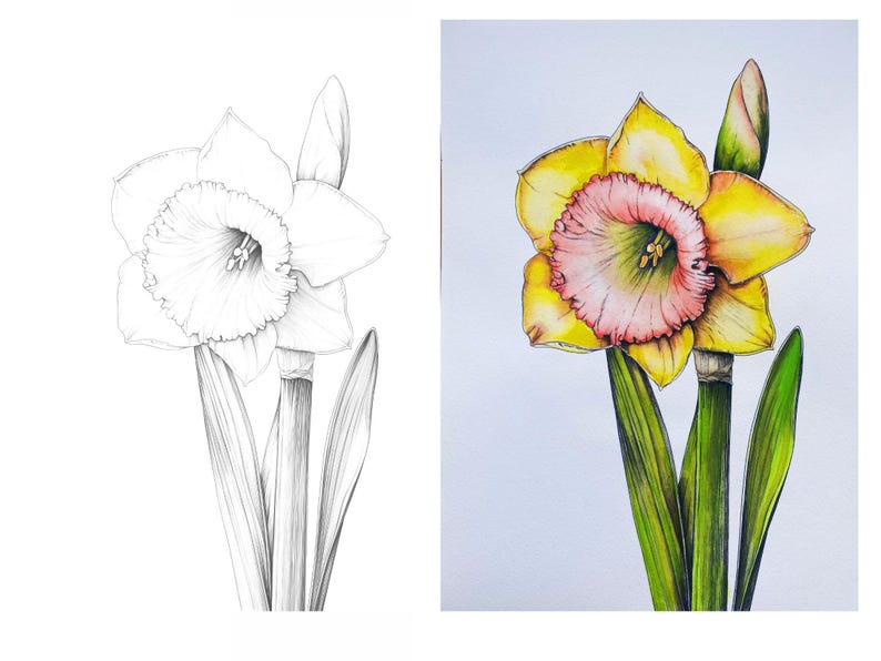 Spring Flowers Printable Coloring Book – Digital Download | 6 Hand ...