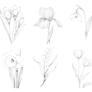 Spring Flowers Printable Coloring Book – Digital Download | 6 Hand ...
