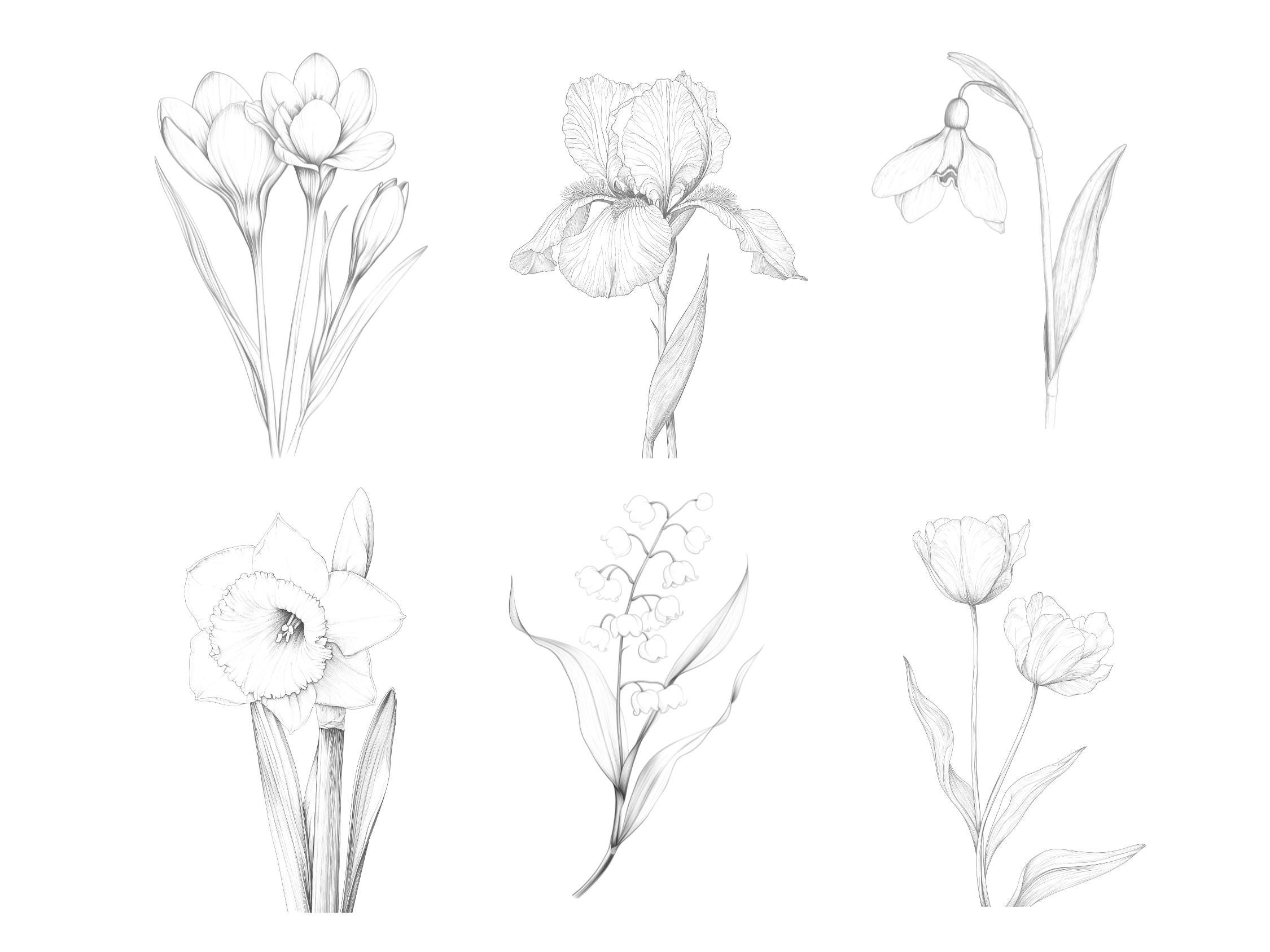Spring Flowers Printable Coloring Book – Digital Download | 6 Hand ...
