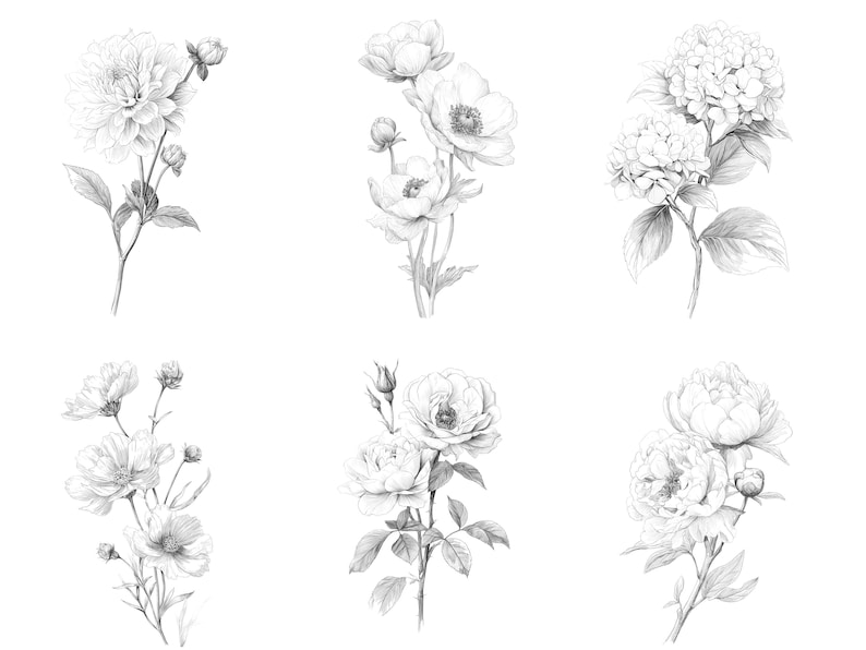 Floral Coloring Book | Summer Blooms Botanical Sketches (digital ...