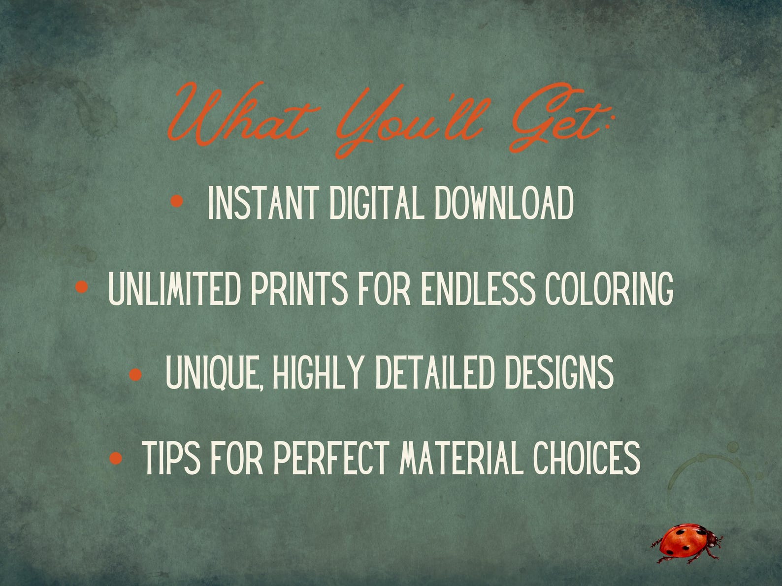 Insect Adult Coloring Book | Digital Download PDF | Hand-drawn Style ...