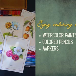 Berries Coloring Book: 12 Vintage Botanical Illustrations (digital ...