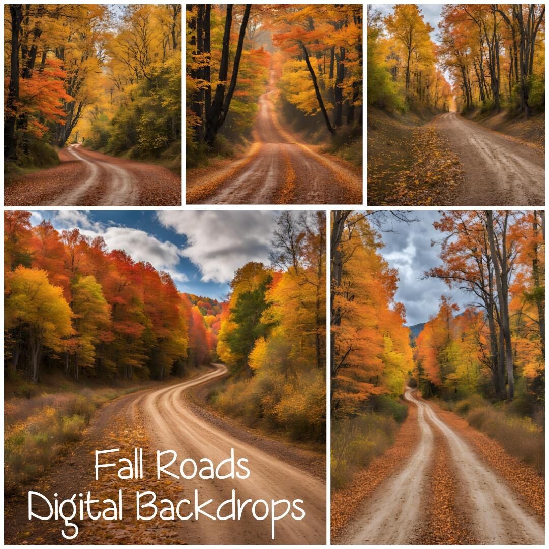 Fall Roads Digital Backdrops Featuring Country Dirt Roads and Gorgeous ...