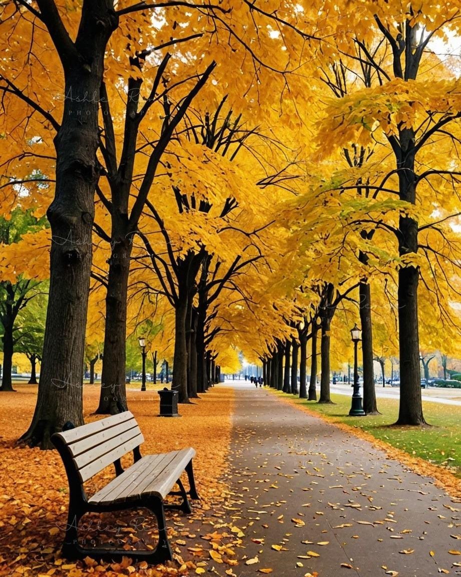 Fall Foliage Digital Backdrops - Etsy