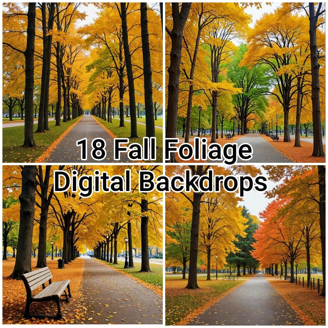 Fall Foliage Digital Backdrops - Etsy