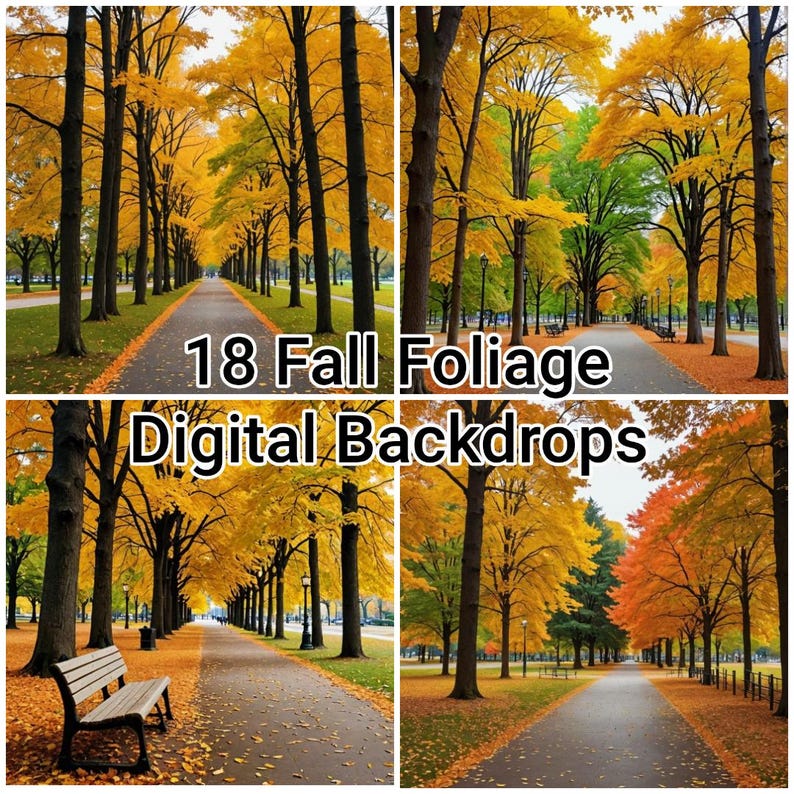 Fall Foliage Digital Backdrops - Etsy