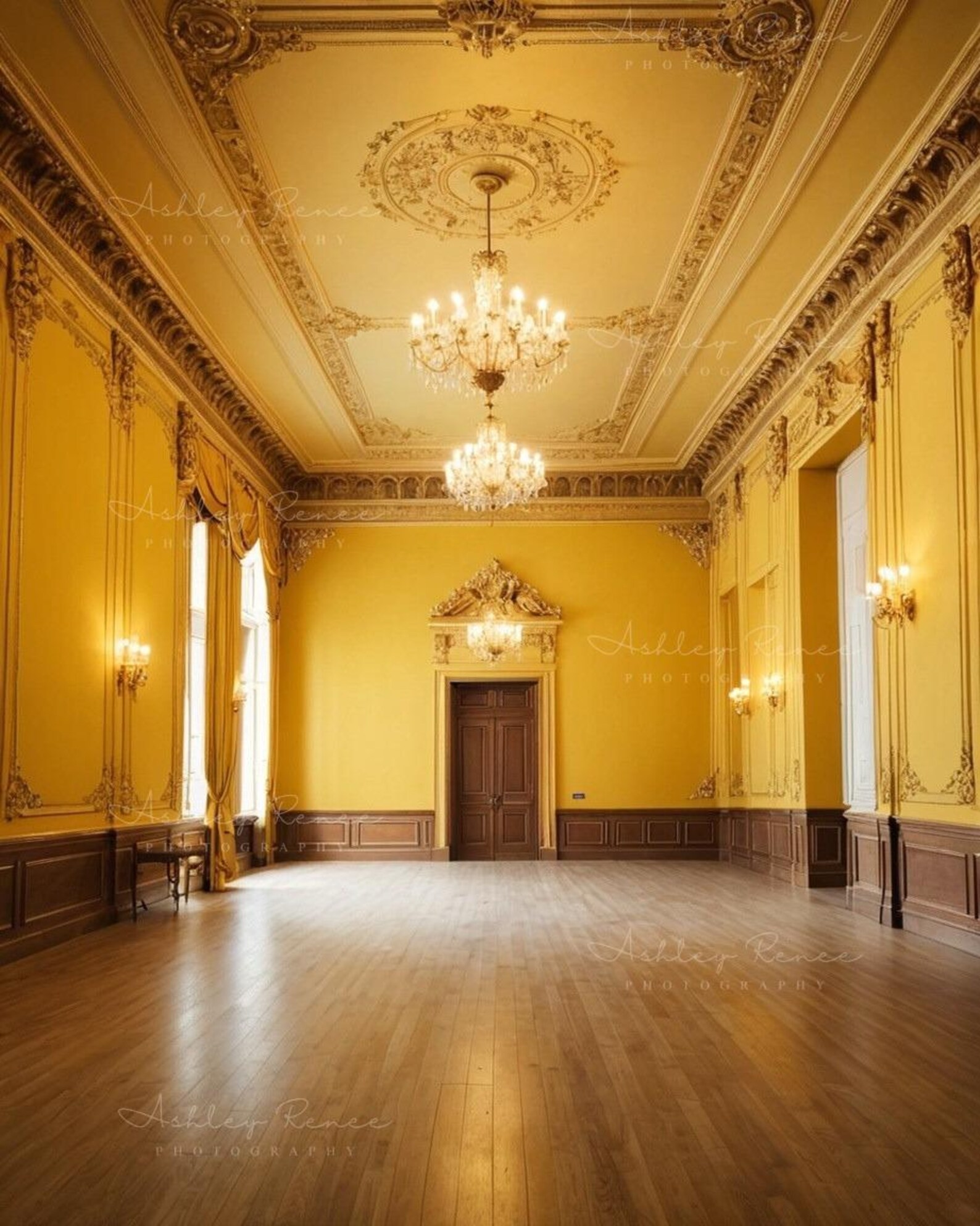 160 Elegant Ballroom Digital Backdrops - Etsy