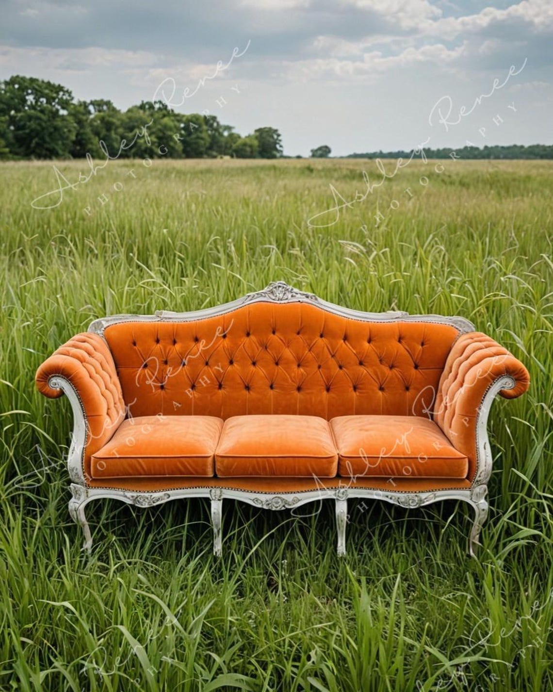 60 Antique Couch Outdoor Digital Backdrops - Etsy
