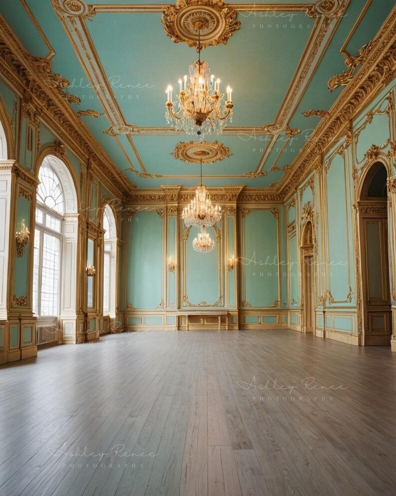 160 Elegant Ballroom Digital Backdrops - Etsy