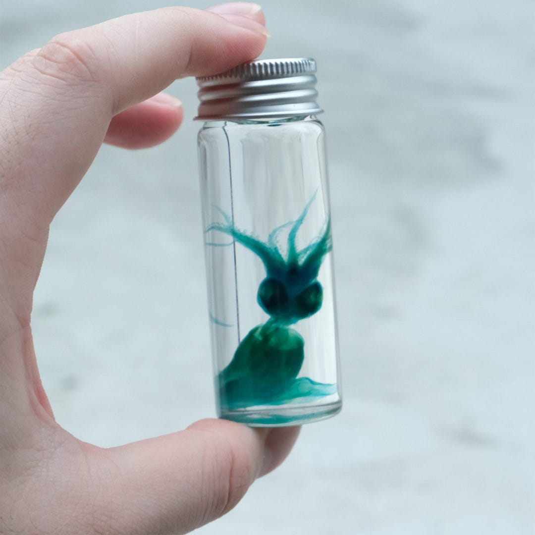 Transparent Dyed Blue Squid Specimen in A Tube, Real Squid Specimen ...