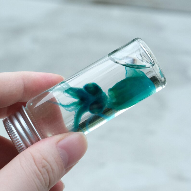Transparent Dyed Blue Squid Specimen in A Tube, Real Squid Specimen ...