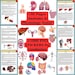 Anatomy & Physiology Bundle With Stickers | Anatomy Study Guide ...