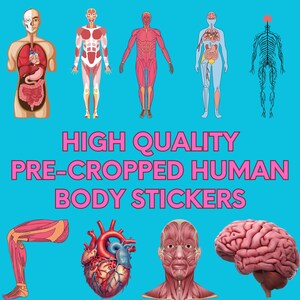 3000+ Biology Digital Stickers for Goodnotes | Pre-cropped Human Body ...