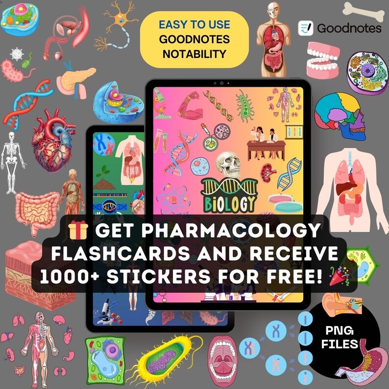 Pharmacology Flashcards Bundle | Pharmacology Notes | Pharmacology ...