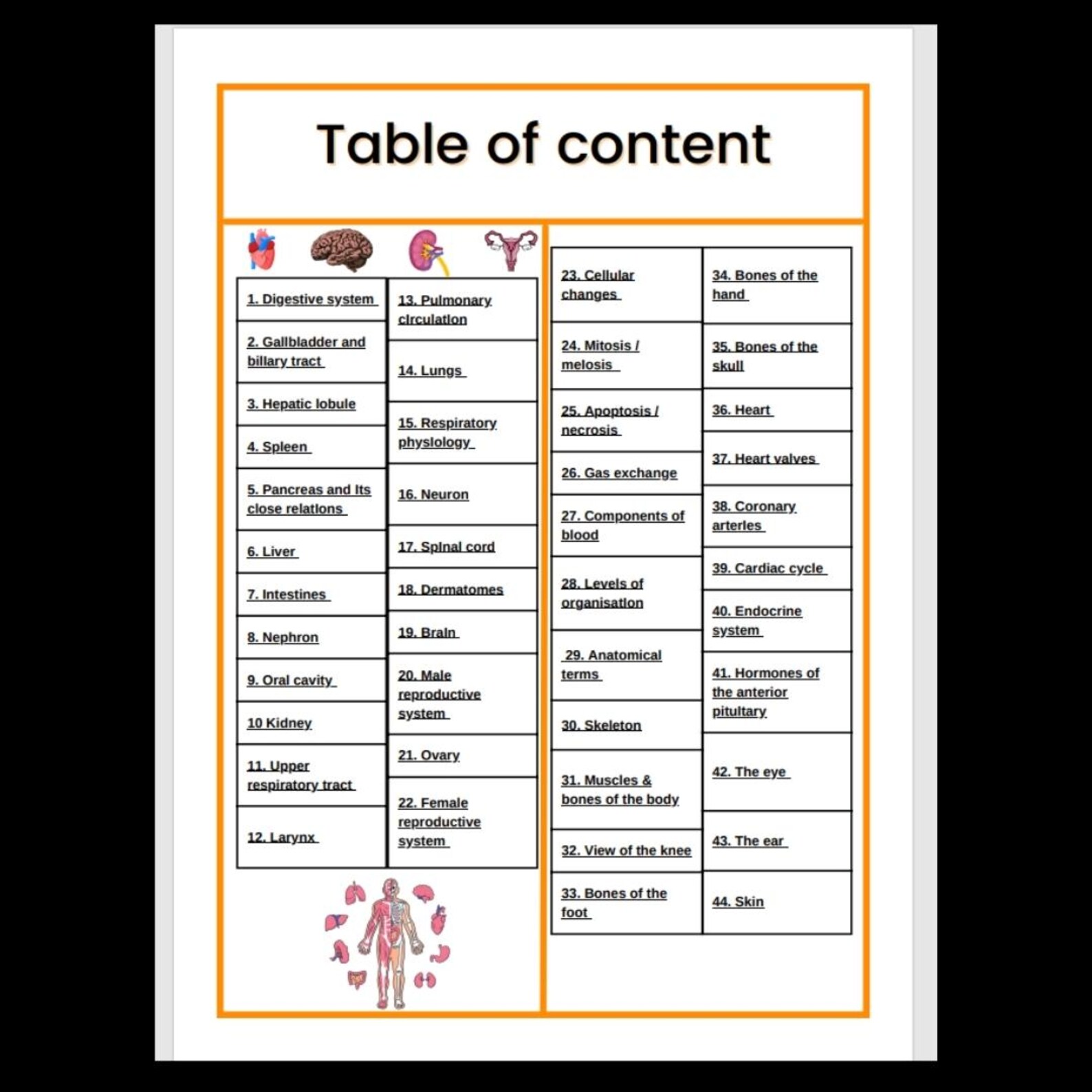 Anatomy & Physiology Bundle With Stickers | Anatomy Study Guide ...