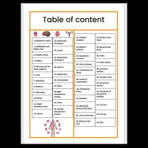 Anatomy & Physiology Bundle With Stickers | Anatomy Study Guide ...