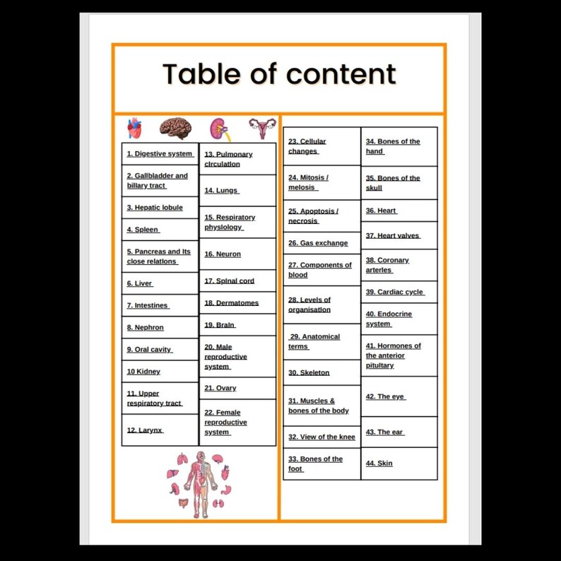 Anatomy & Physiology Bundle With Stickers | Anatomy Study Guide ...