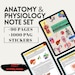 Anatomy & Physiology Bundle With Stickers | Anatomy Study Guide ...