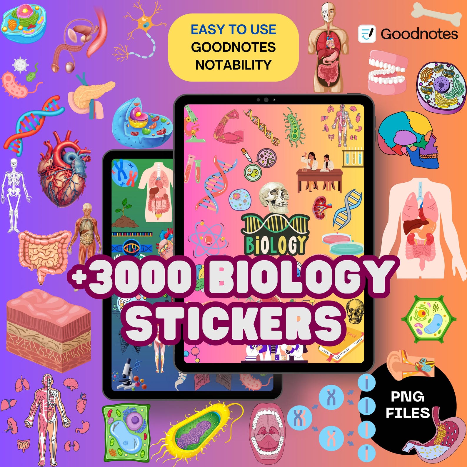 3000 Biology Digital Stickers for Goodnotes Pre-cropped Human Body ...