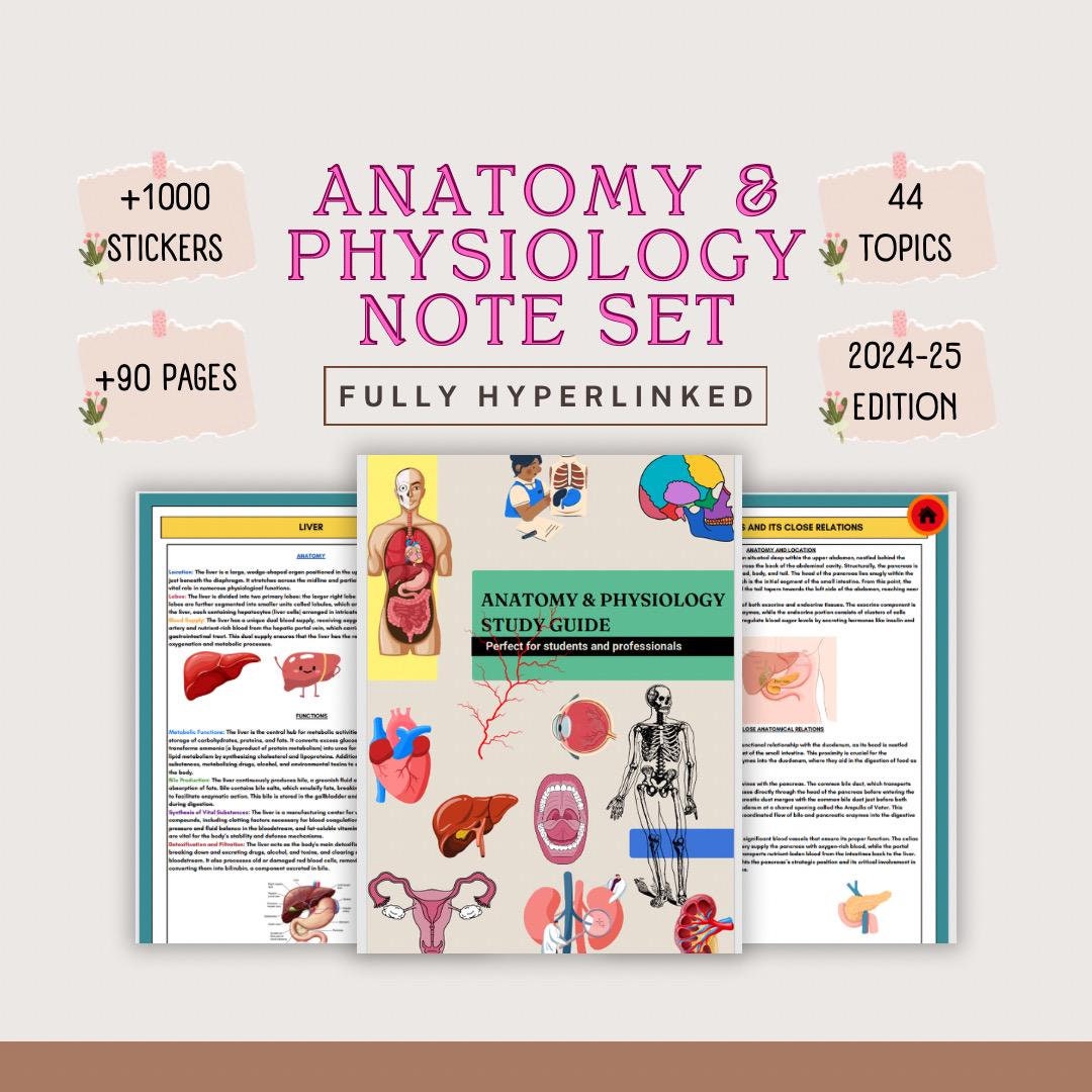 Anatomy & Physiology Bundle With Stickers | Anatomy Study Guide ...