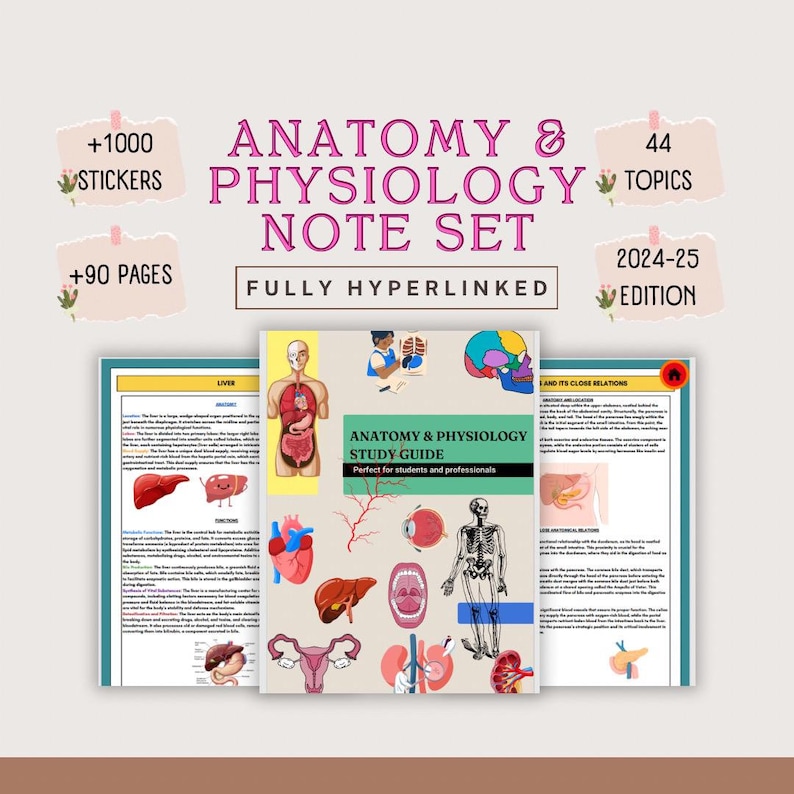 Anatomy & Physiology Bundle With Stickers | Anatomy Study Guide ...