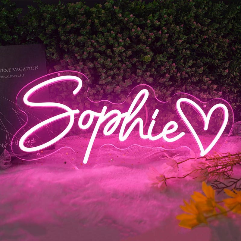 Funny Baby Girl Room Signs - Etsy Canada