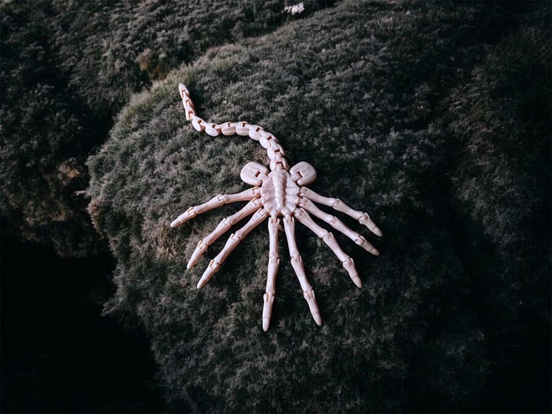 Articulated Alien Facehugger – 3D Printed Sci-fi Creature | 20cm–40cm ...