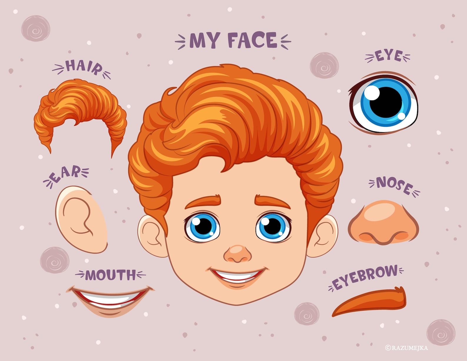 Montessori Activity for Toddlers & Preschoolers - My Face. Educational ...