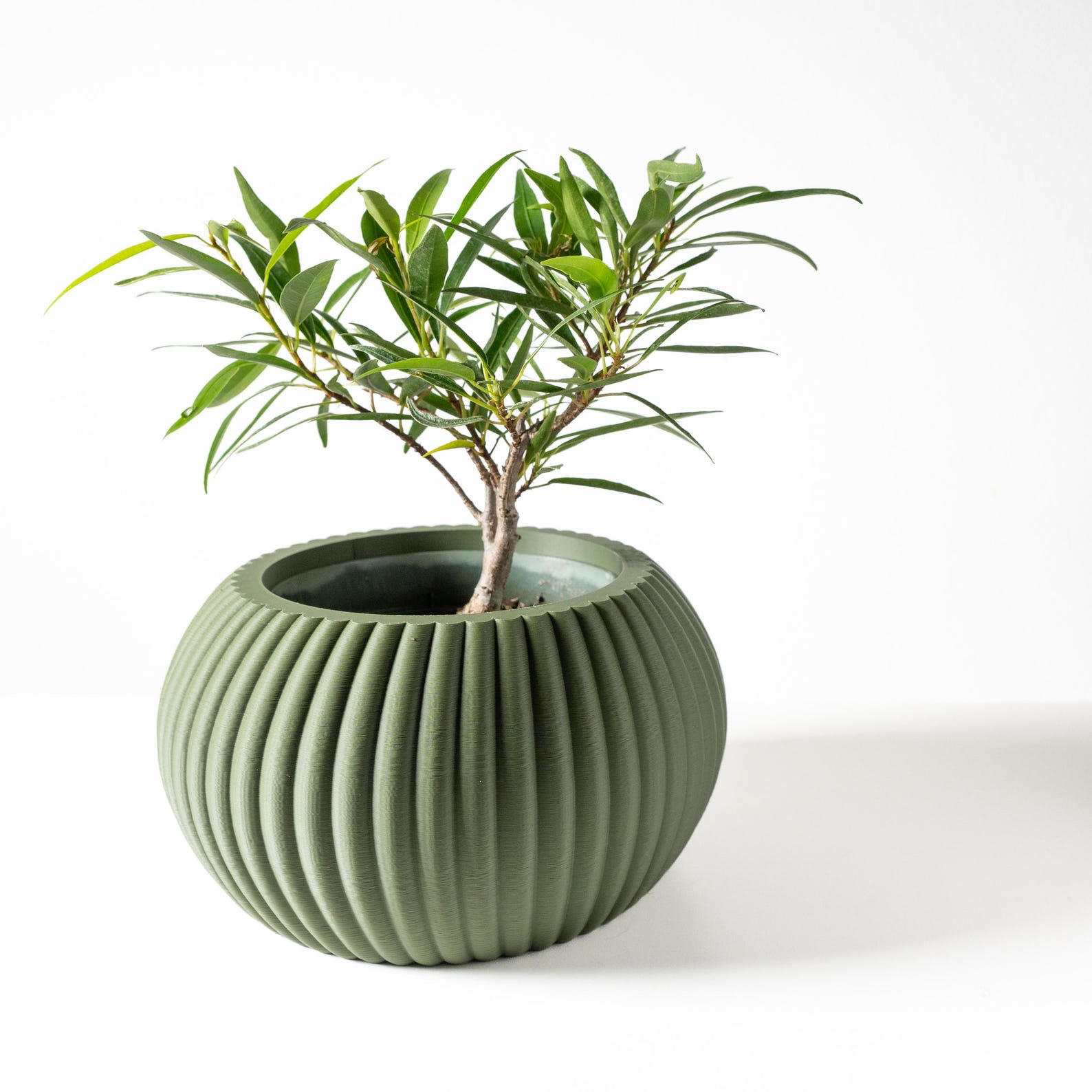 The Roni Planter - Elevate Your Plant Display - Unique 3D Printed Pot ...