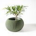 The Roni Planter - Elevate Your Plant Display - Unique 3D Printed Pot ...
