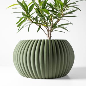 The Roni Planter - Elevate Your Plant Display - Unique 3D Printed Pot ...