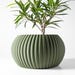 The Roni Planter - Elevate Your Plant Display - Unique 3D Printed Pot ...