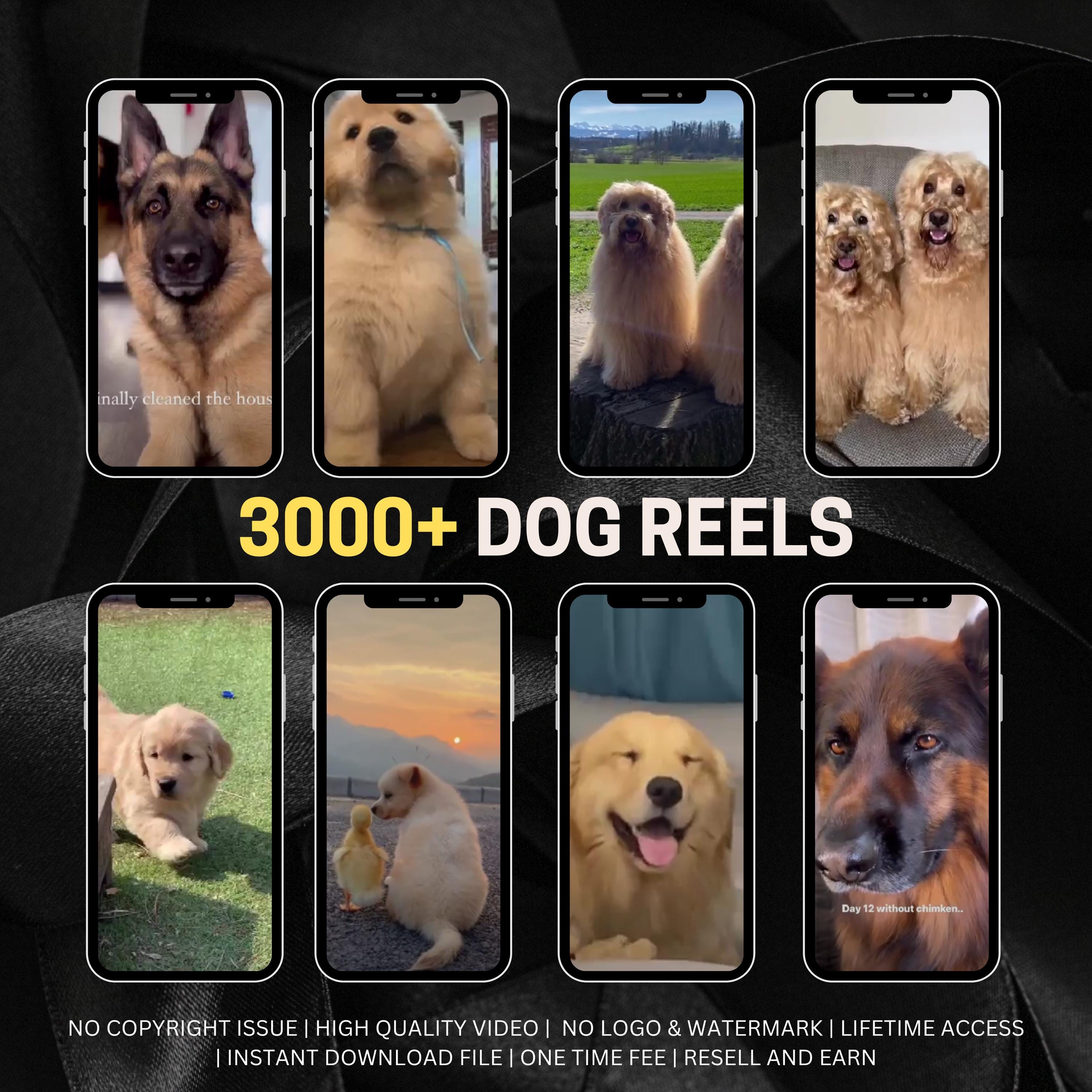 30k+ Mega Reels Bundle, Ready to Resell, Reels Bundle, Aesthetic Reels ...