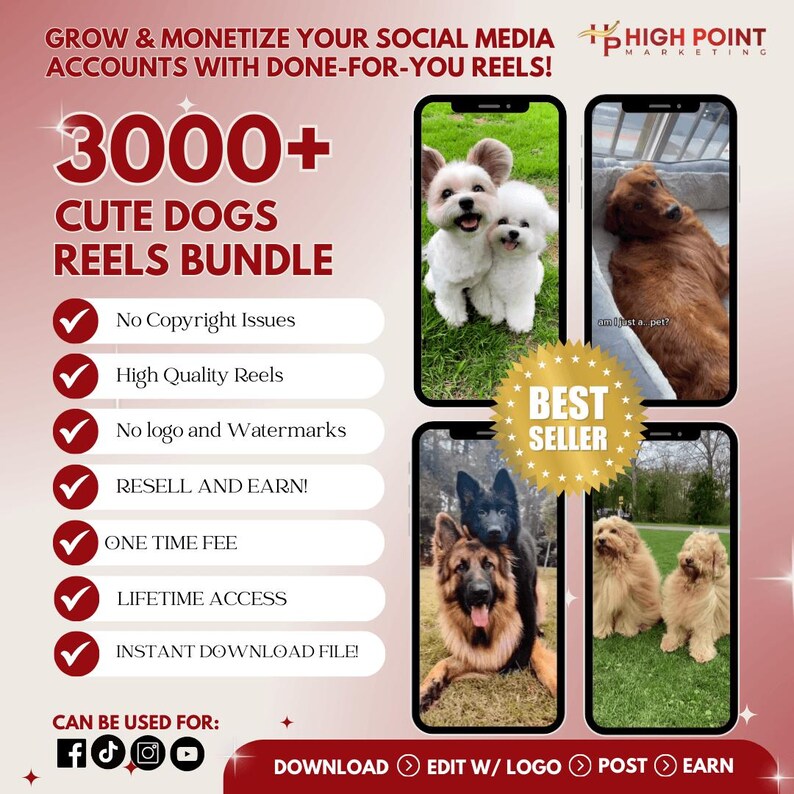 30,000+ Mega Reels Bundle - Faceless Reels | Premium Luxury Reels ...