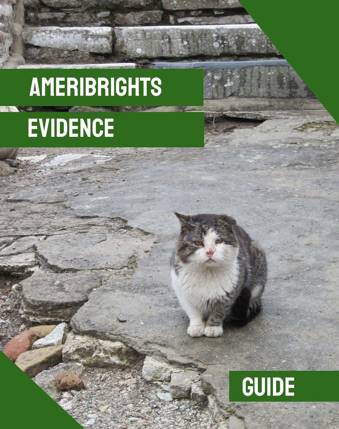 Bar Prep Made Easy: MBE Evidence Study Guide and Maps - Etsy