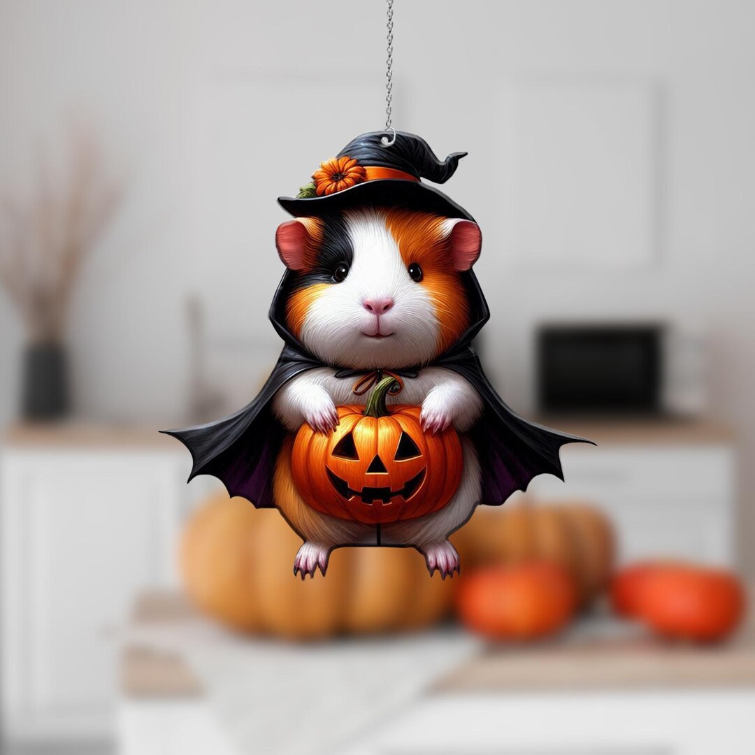 Guinea Pig Witch Acrylic Window Hangings, Guinea Pig Decoration ...