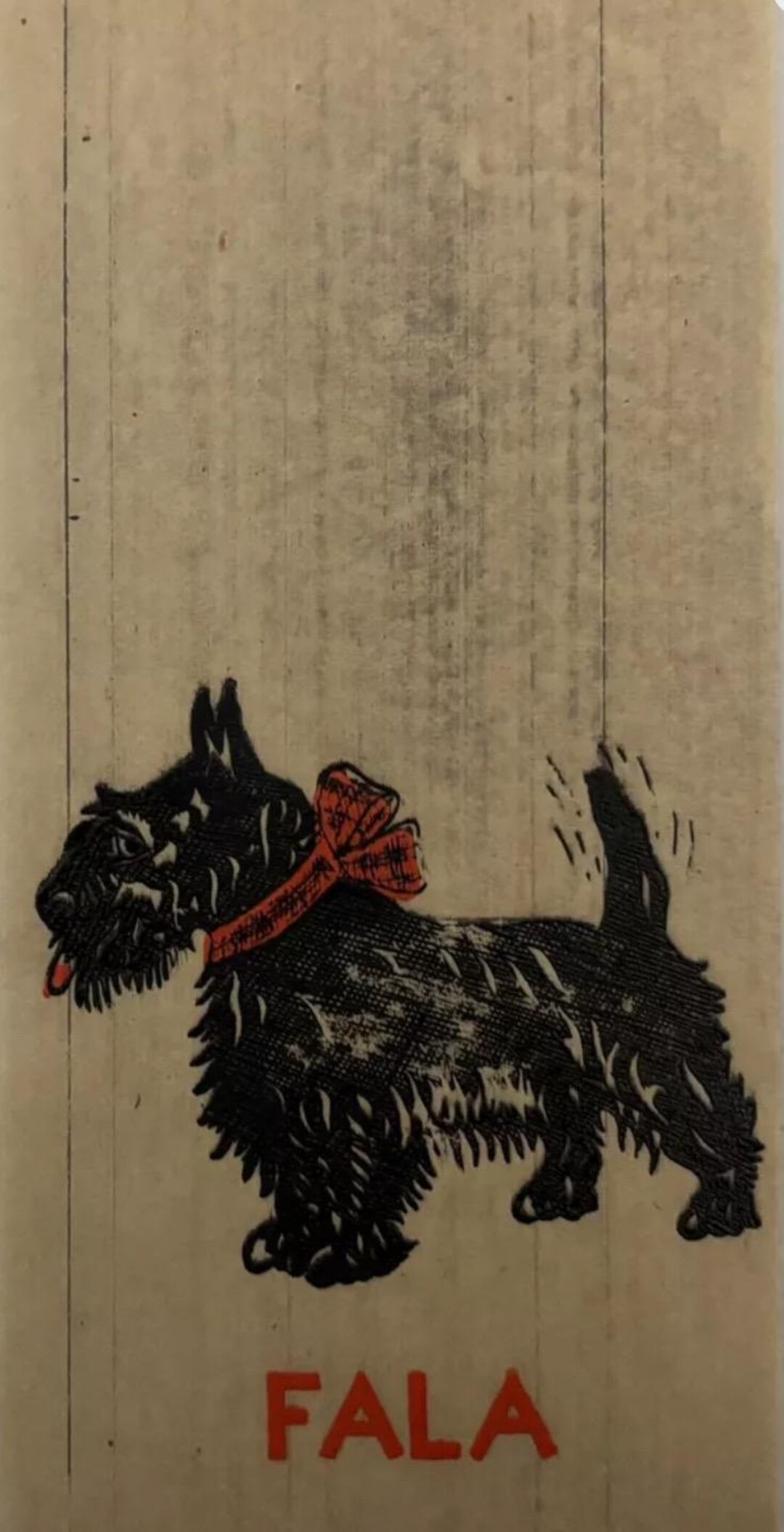 Original Vintage Antique 1950’s FALA Dog Terrier Schnauzer Mini Iron on ...