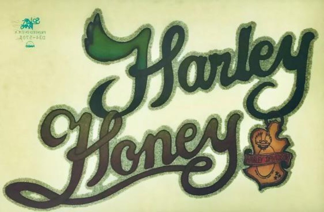 Original Vintage Roach 80s Harley Honey Harley-davidson Motorcycle Iron ...